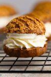 Whipped Cream 101: Basics, Stabilization, and Infusions - Definitely ...